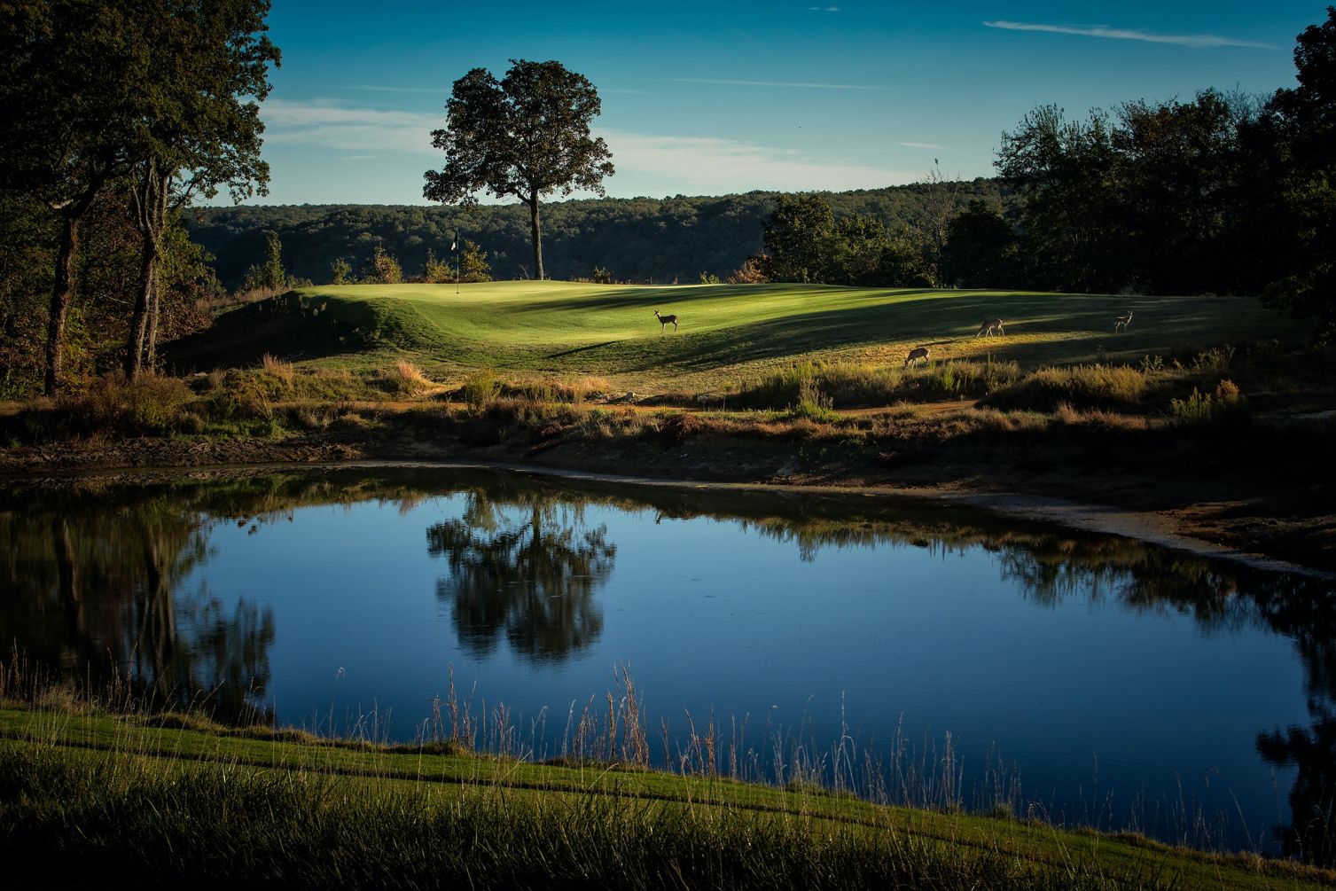 Six Reasons to Visit Sewanee This Summer