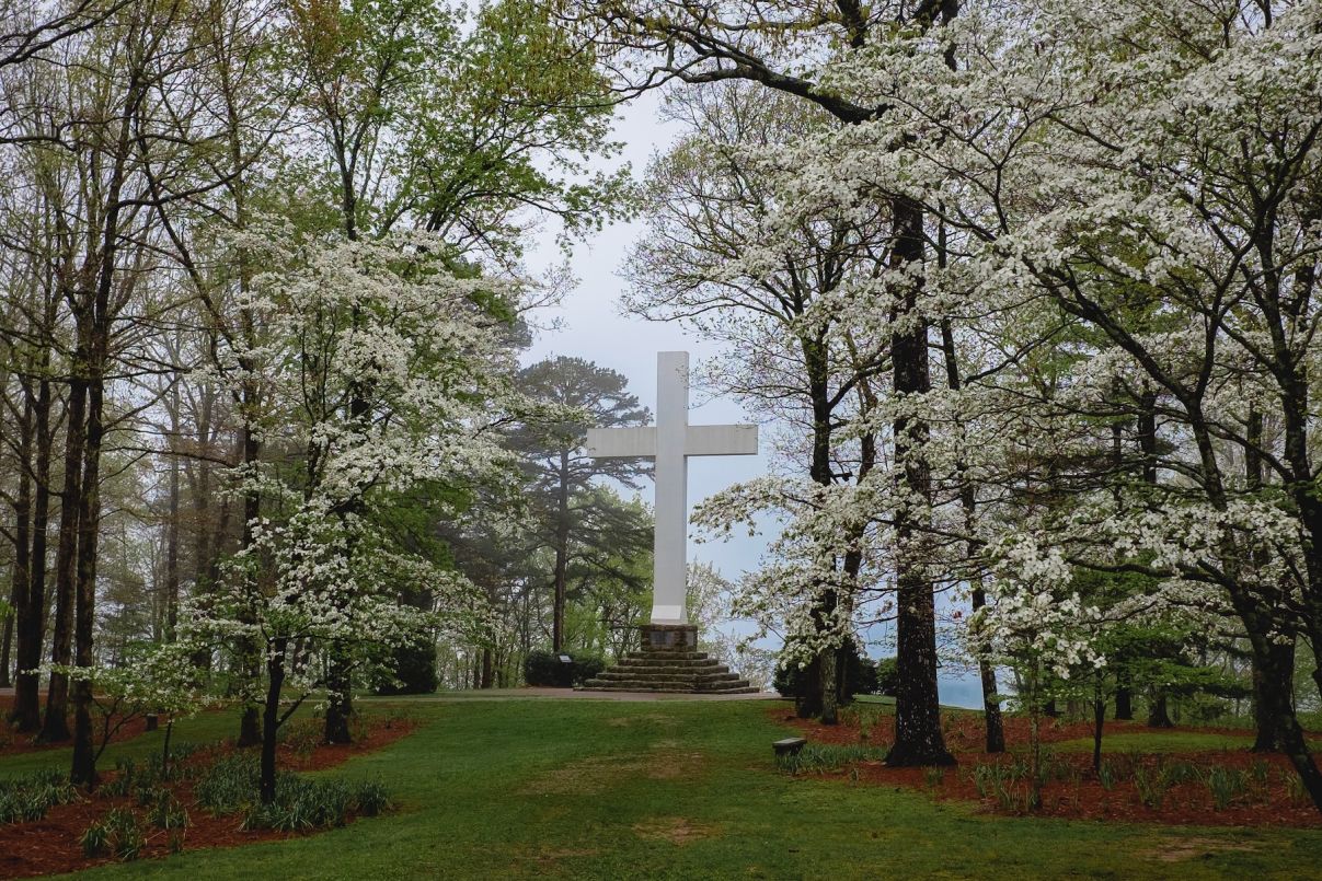The Cross at 100